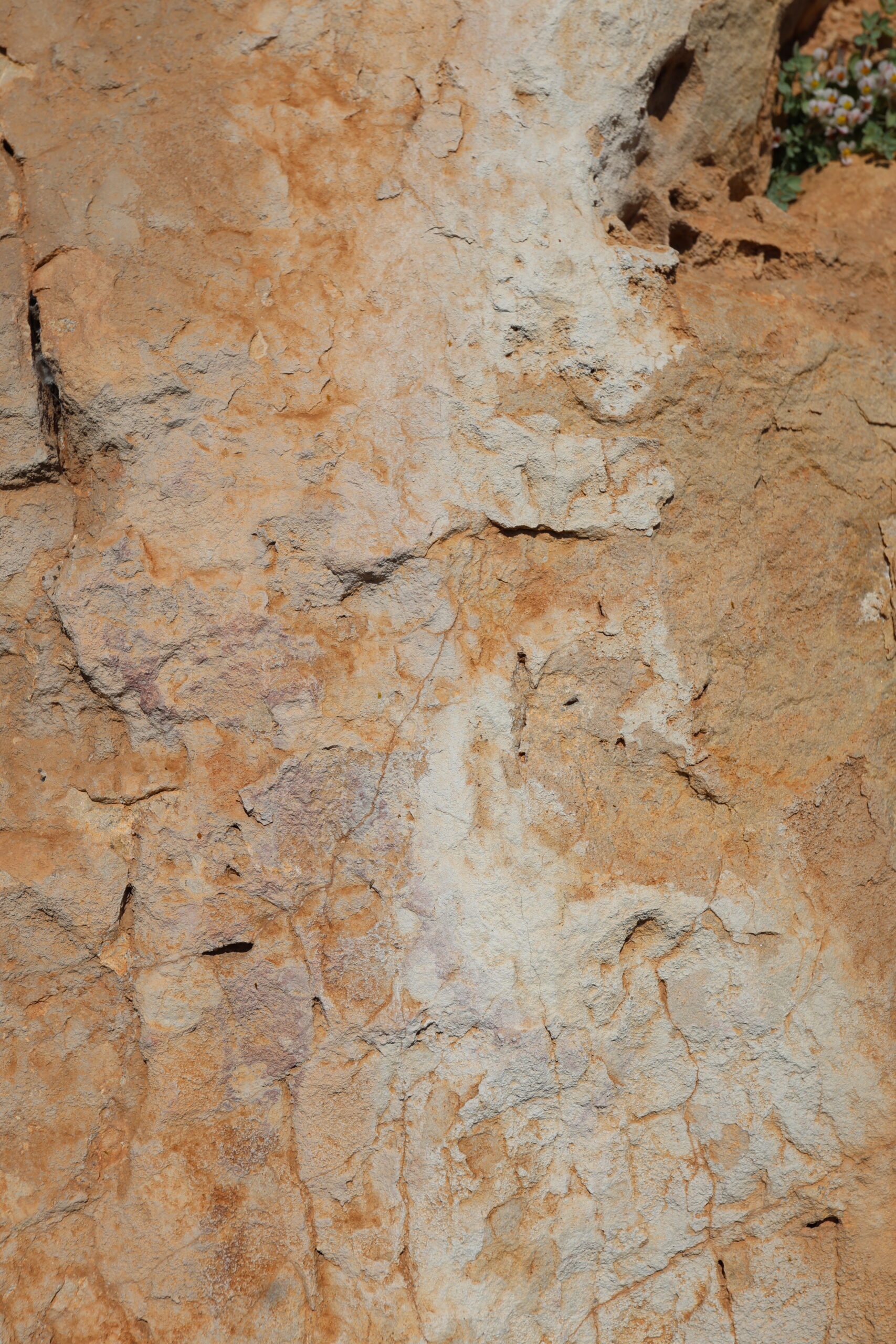 ABRIGO DEL RINCÓN DE LA ZORRA | PRAT / CARP